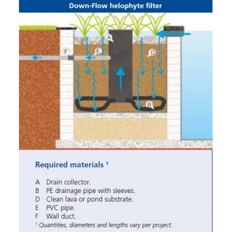 Collecteur de drains pour filtration hélophyte verticale