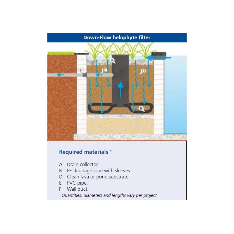 Couvercle de collecteur de drains pour filtration hélophyte verticale